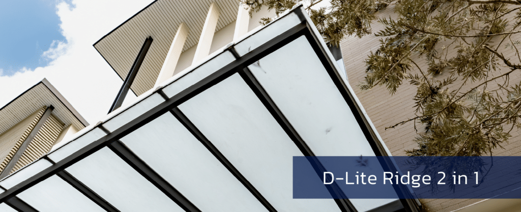 D-Lite Ridge 2 in 1 Information - D-LITE
